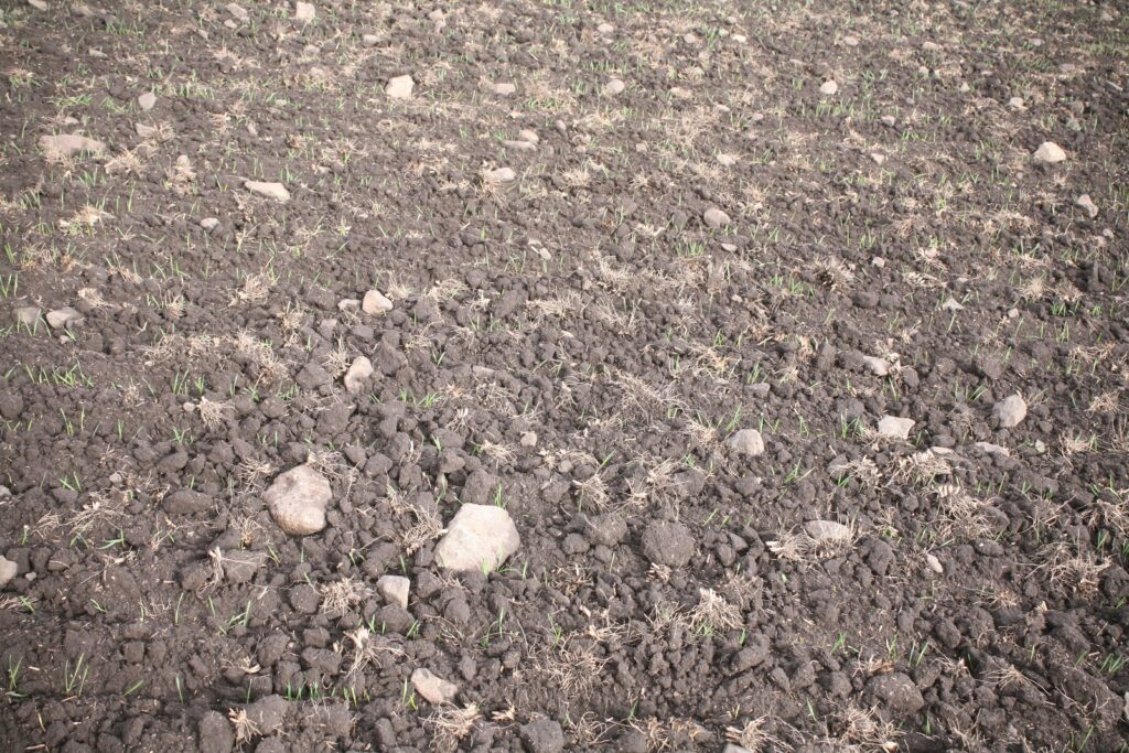 Rock Picker Comparison & Analysis | Best Rock Picker | TerraClear